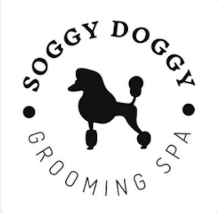 Soggy Doggy SPA - Pontypridd